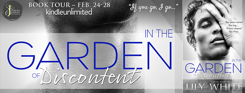 In the Garden of Discontent Book Tour – Books Best Blog