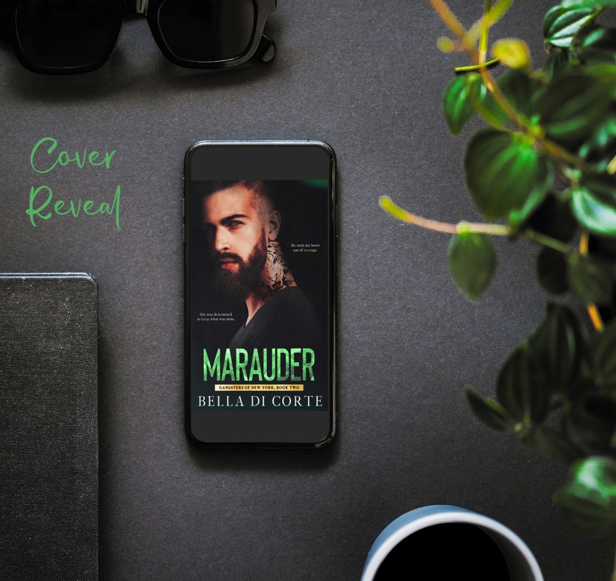 Marauder Cover Reveal. – Books Best Blog
